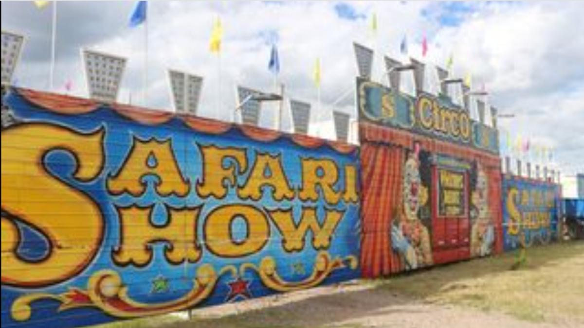 Circo Safari Show: una gran opción para el fin de semana largo en Salta ...