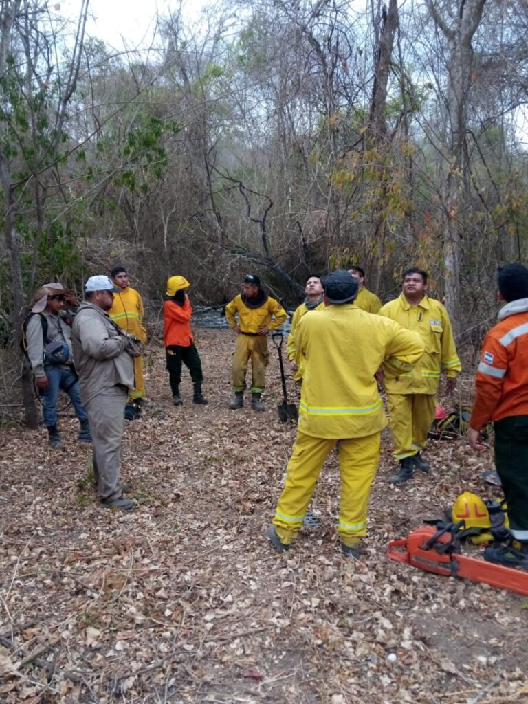 Orán: Bomberos y Defensa Civil lograron sofocar incendios forestales en ...
